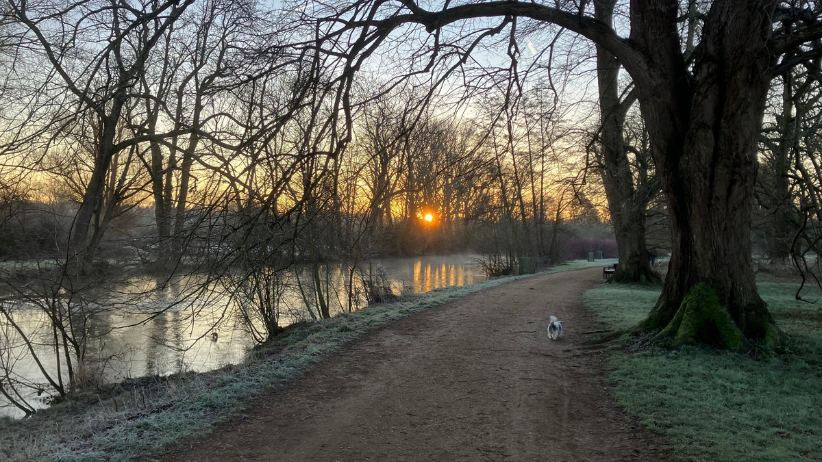 HAPPY HAPPY NEW YEAR - JANUARY 2026 – Fino Olive Oil Ltd